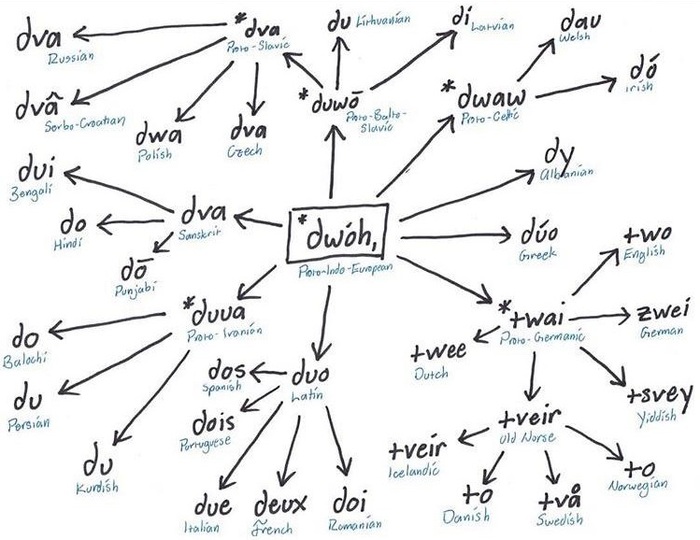 From Two to Dwóh: Words That Stay and Words That Go